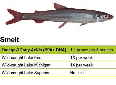 Smelt – Eat Wisconsin Fish