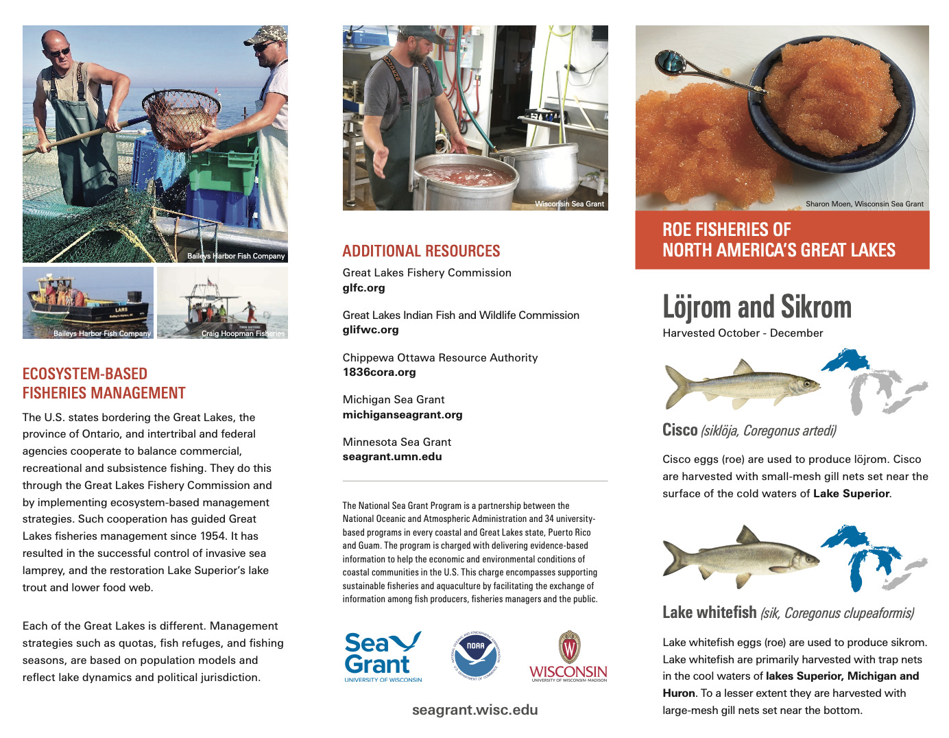 Great Lakes Cisco and Lake Whitefish Roe – Eat Wisconsin Fish